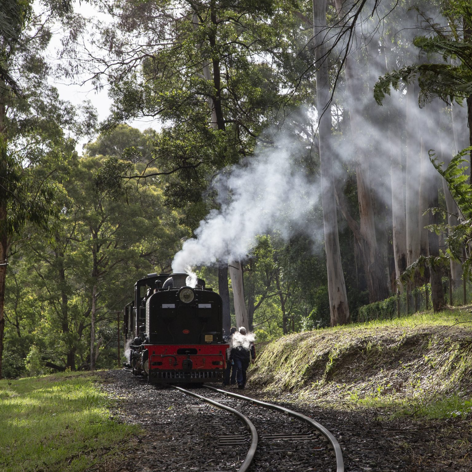 Testing An NG/G16! - Puffing Billy Railway