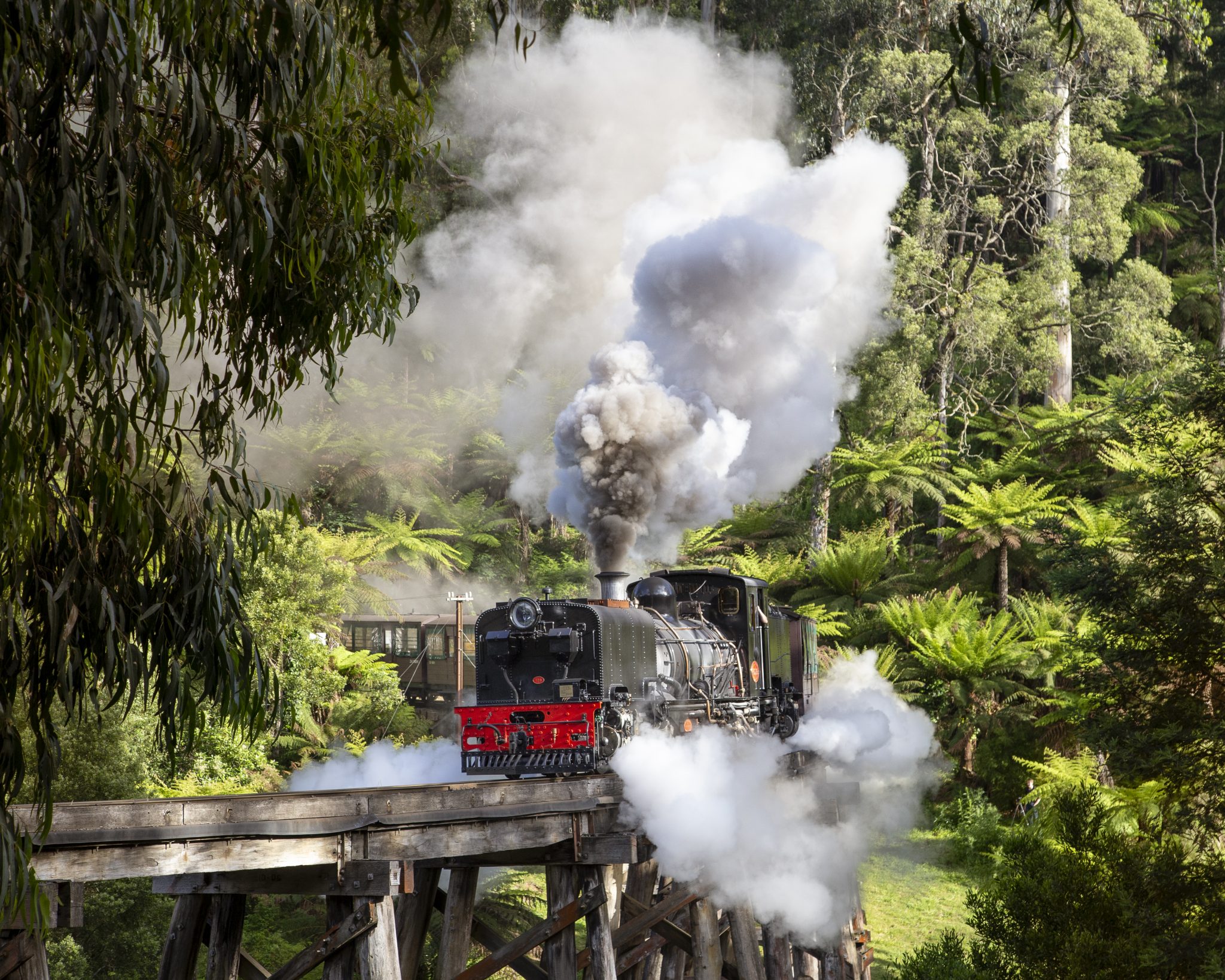 Testing An NG/G16! - Puffing Billy Railway